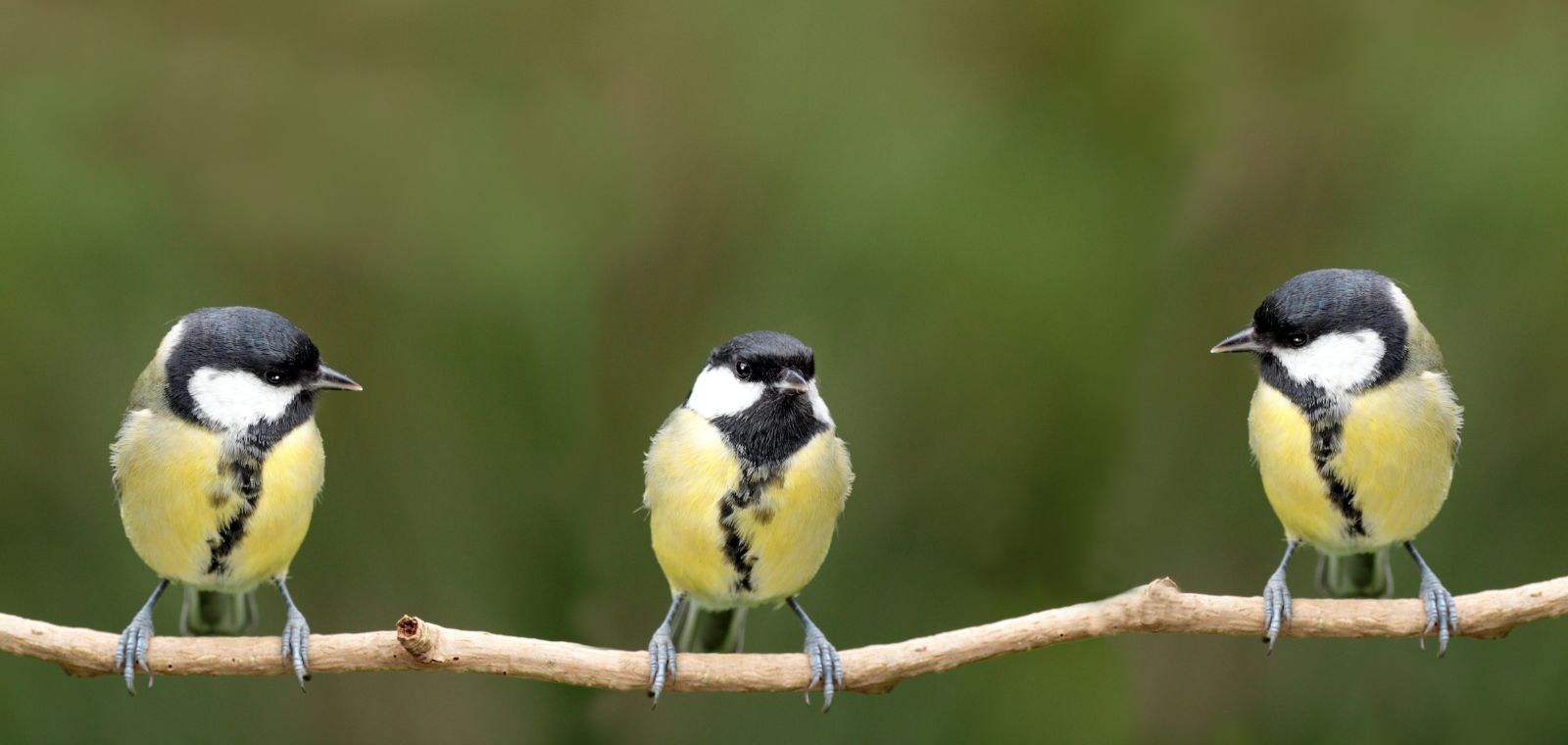 Multi-Asset Income Outlook: Three Key Questions for 2026 | AB