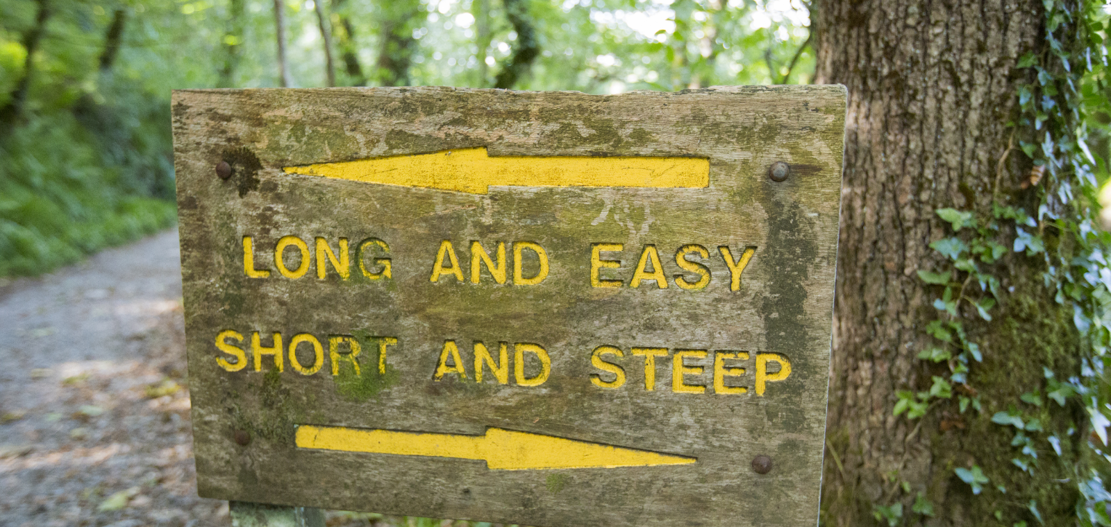 Multi-Asset Outlook 2024: Embracing the “Less Exceptional” | AB